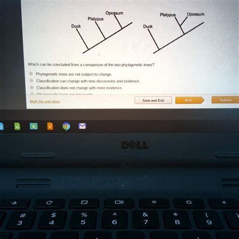 Consider These Phylogenetic Trees The First Tree Is Based On Physical