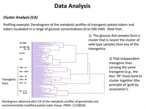 Metabolomics Overviewpdf