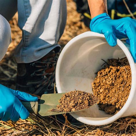 Using Incremental Sampling Methodology Ism To Optimize Sample Integrity