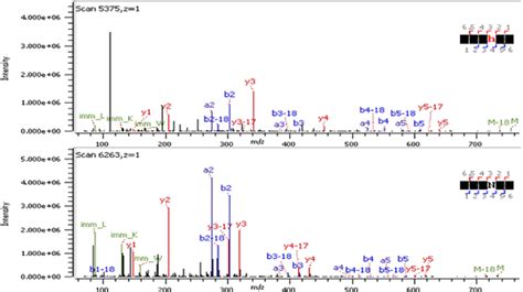 Accelerating Protein Sequence Variant Analysis