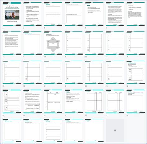 Project Success Strategies Plr Workshop