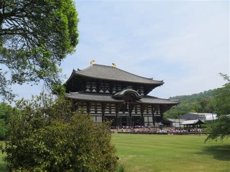 일본 백제탐험 5탄 도다이지 청동불상 네이버 블로그