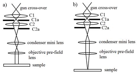 Electron Beam Optics Diagram With Condenser Mini Lens And Objective