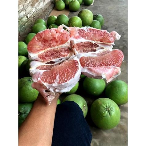 Jual Jeruk Bali Manis Berat 1 2 Kg Shopee Indonesia