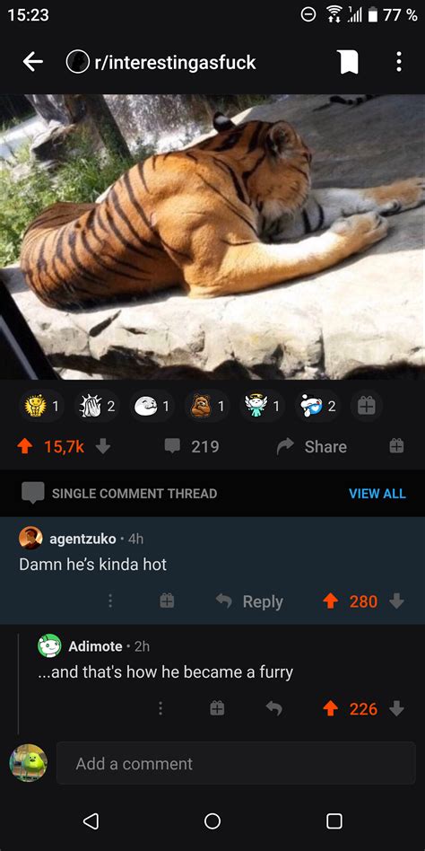 Cursed Tiger R Cursedcomments