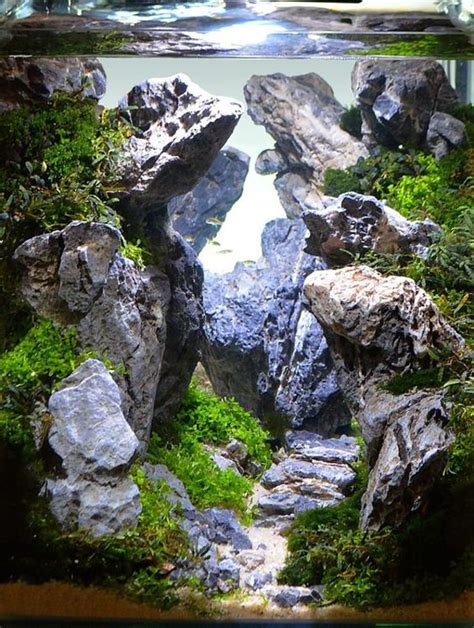 27 Easy Diy Aquascape Design On Low Budget Homemydesign Aquascape