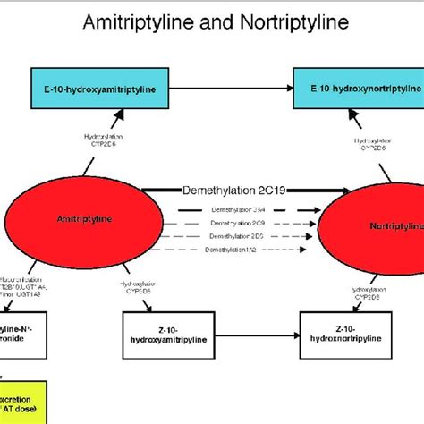 Metabolism Flowchart For Amitriptyline And Nortriptyline Including