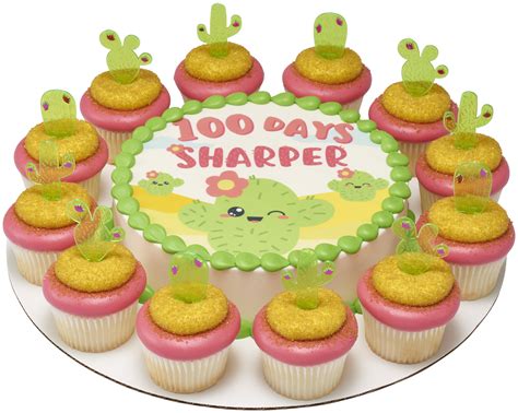 Cactus Assortment Decopac