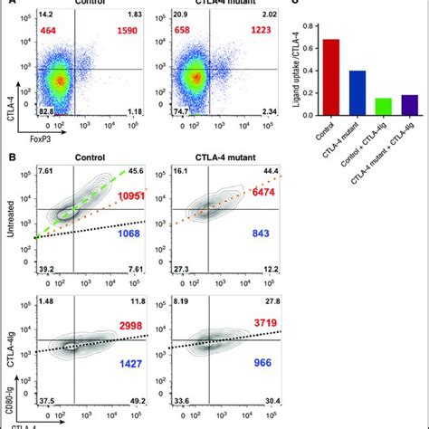 Lrba Deficiency And Ctla 4 Deficiency Have Different Patterns Of Download Scientific Diagram