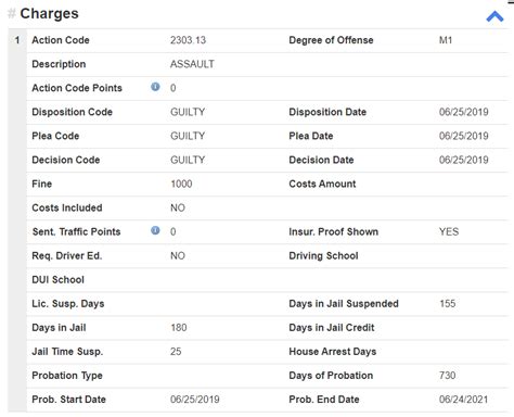 Ashley Biles Thomas Simone Biles Sister 5 Fast Facts