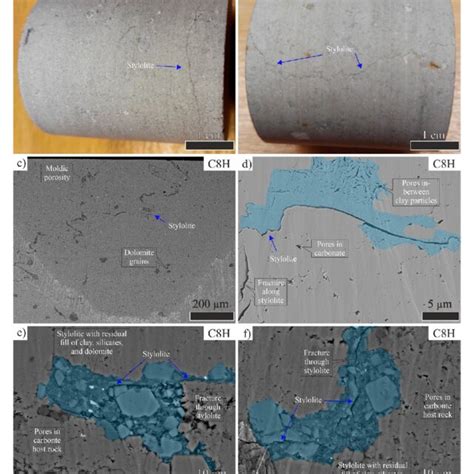 Examples Of Typical Microstructures In Analyzed Limestone Samples With Download Scientific