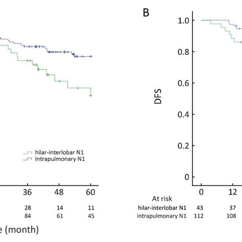 Survival Curves Of Patients With Hilar Interlobar And Intrapulmonary Download Scientific