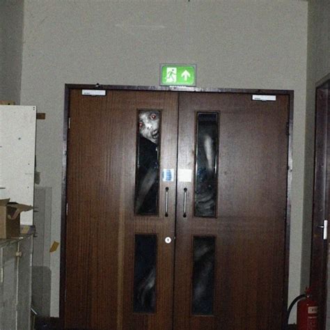 The Humanoid Cockroach Wiki Trevor Creature Fandom