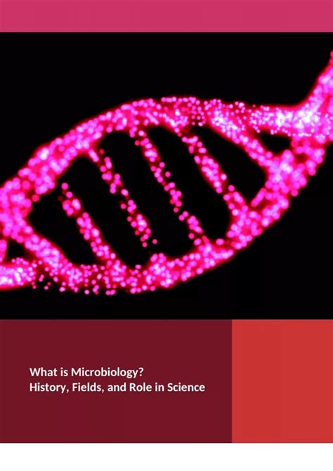 What Is Microbiology History Fields And Role In Science Basic