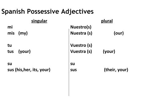 Spanish Possesive Adjectives Ppt