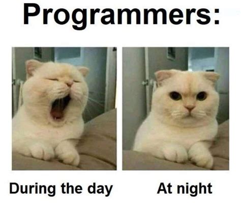 Mohssine Serraji 🚀 On Linkedin Developer Python Tech