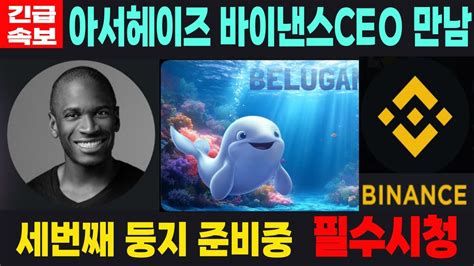 벨루가나 밈코인 Belugana 긴급속보 아서헤이즈 바이낸스 Ceo 만남 세번째 둥지 준비중 필수시청 코미녀 Youtube
