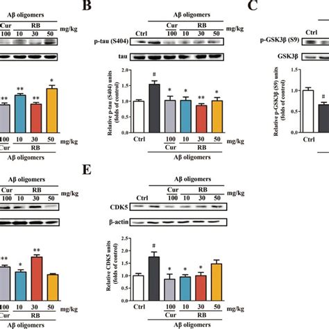 Rb Downregulated Tau Hyperphosphorylation In The Hippocampus Of Aβ Download Scientific Diagram