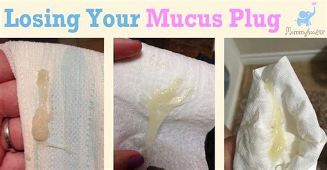 Losing Mucus Plug At 32 Weeks Pregnant Detroit Chinatown