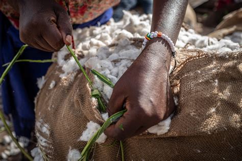 Cmia Takes A Positive Balance For 2022