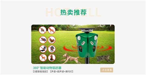 亚马逊热销款老鼠笼 塑料捕鼠笼抓老鼠神器透视捕鼠诱饵盒 捕鼠器 阿里巴巴