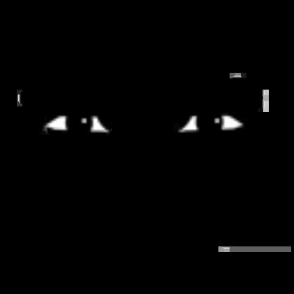 Roblox Man Face Png Tất Tần Tật Những Điều Bạn Cần Biết Về Biểu Tượng