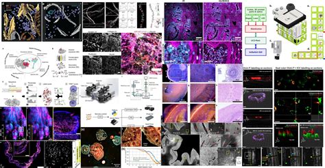 Prelights Prelights Mstdn Science Mstdn Science