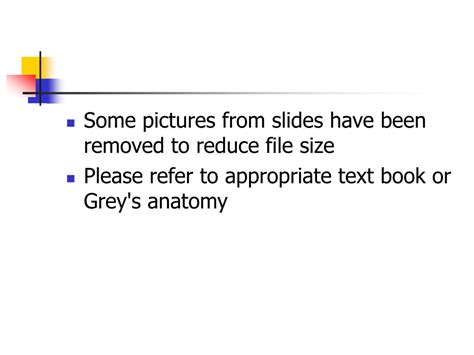 Ppt The Knee Joint Complex Powerpoint Presentation Free Download Id 3029489