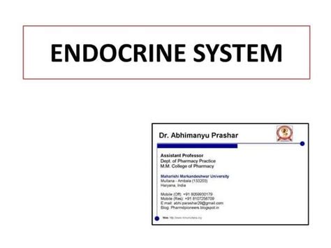 Endocrine System Summary Artofit