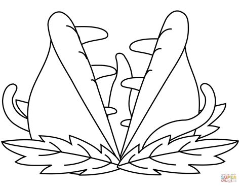 Carnivorous Plant Venus Flytrap Coloring Page Free Printable Coloring