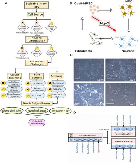 Scalability Challenges And Rapid Generation Of Ins From Ipsc By