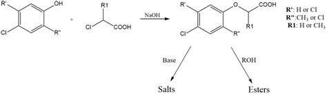 Phenoxy Herbicides Production Uses And Toxicology
