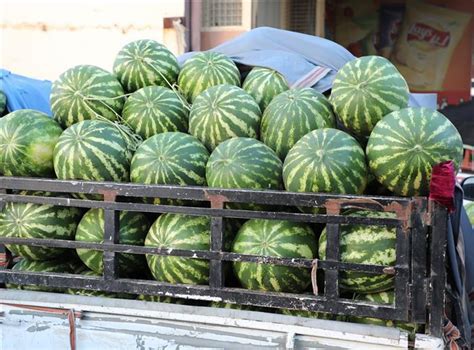 هاوردەکردنی شوتی راگیرا