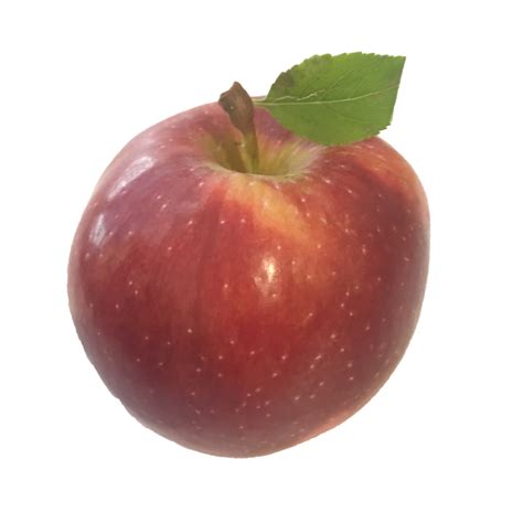 Querina Champlain Orchards