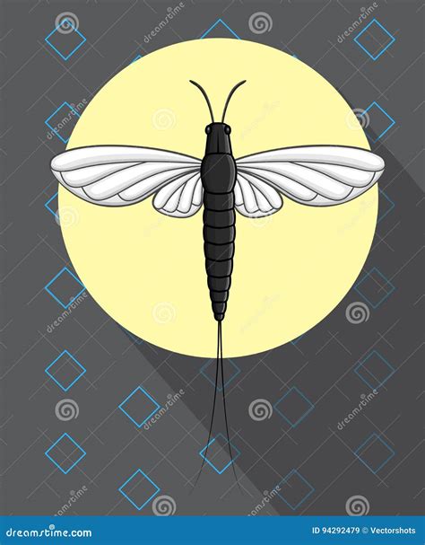 Mayfly Insect Flying Stock Vector Illustration Of Nature 94292479