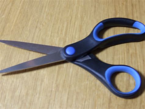 Super Scissors For Dna Interviews Naked Scientists
