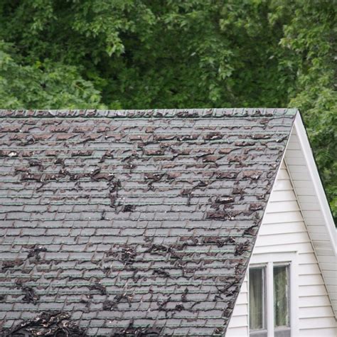 The Effects Of Improper Roof Ventilation Strength Roofing And Siding