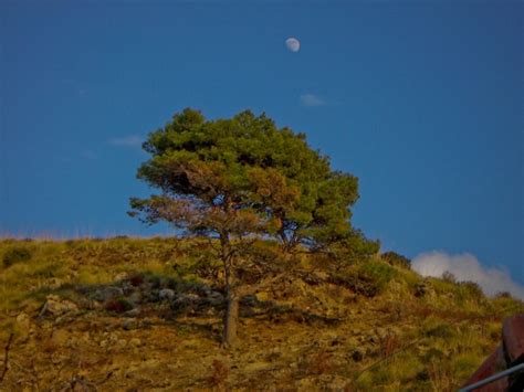 Azeffoun Mahdi Aridj Photography