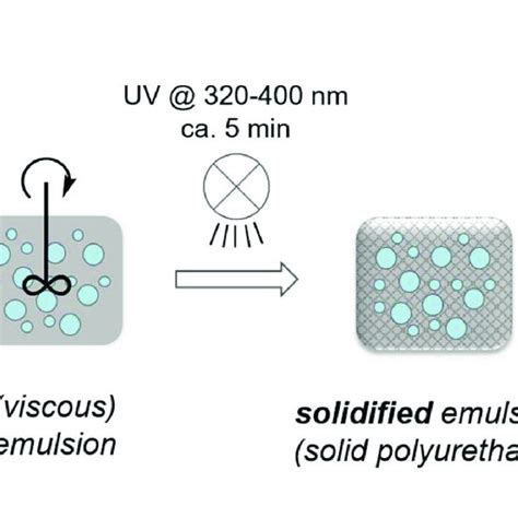 General Preparation Of Uv Cured Enzyme Compartments In Polyurethane
