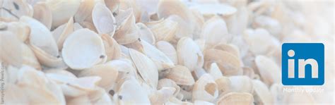 Linkedin Algorithm Secrets What Works Best On Linkedin