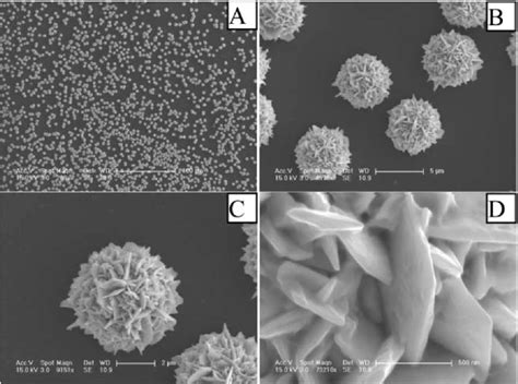 Figure 2 From Electrochemical Deposition Of Nanomaterials For