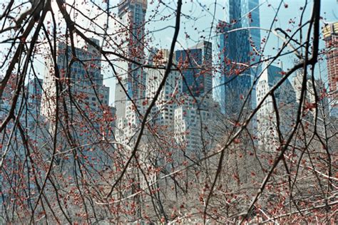 「desolada」の写真素材 142件の無料イラスト画像 Adobe Stock