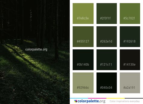 Forest Nature Green Color Palette