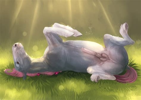 Rule 34 Accessory Almatea Anatomically Correct Anatomically Correct