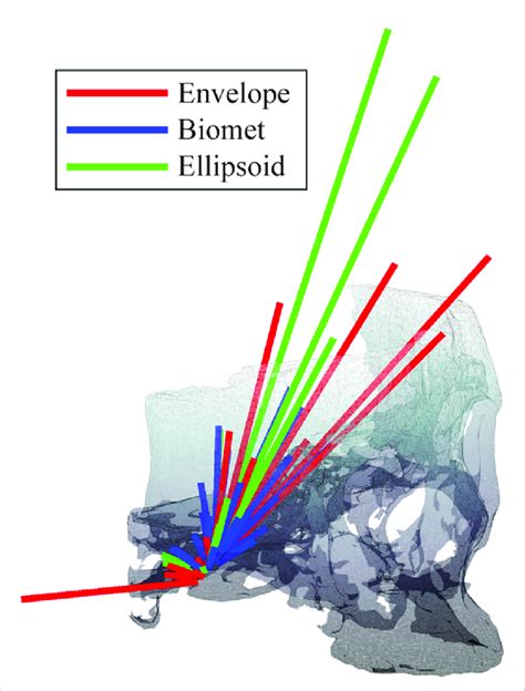 Distribution Of Tmj Contact Forces With The Condyles Moving To Edges Of