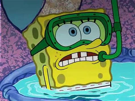 Spongebob Grooming Gary