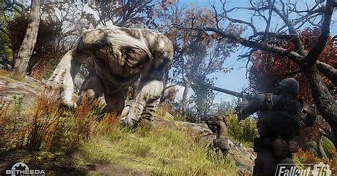 Spoliers Fallout 76 Treasure Map Album On Imgur