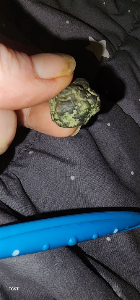 Soi Found An Emerald Brachiopod Gem Related Discussion Igs Forums