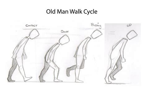 Walking Cycle Inspiration For The Beginning Of Animation Looking At