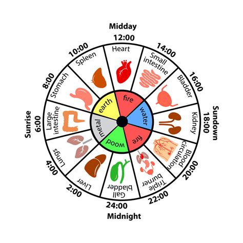 The Chinese Body Clock And Why You Wake Up At Night Morphus
